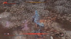 Sekiro: Shadows Die Twice Мастер Иссин Асина красиво всосал)))
