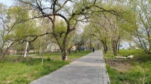 417. Хабаровск. Шелеста 81. Дальэлектрон. 12.05.25.