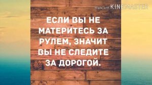 - Я своего кобеля выгуливаю. Анекдот дня!