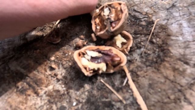 Дома в Мае 2025