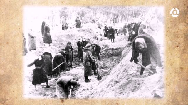 Архивы памяти. Архивы Германии о Малгобекской оборонительной операции