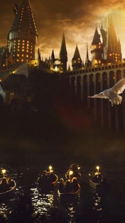 Продолжение Hogwarts Legacy 🧐#игры #игрынапк #гаррипоттер #сериал #hogwartslegacy #hbo #hbomax