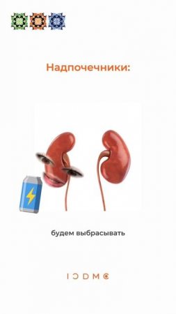 Простым языком о сложных вещах : не обижайте свои органы сбитым режимом! Ведь они могут отомстить