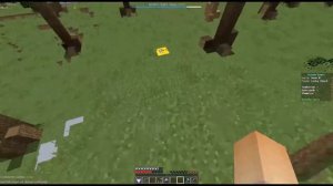 ►ПРЯТКИ ОТ ТИМЕРОВ ● Minecraft