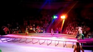 Цирковое искусство. Circus art.