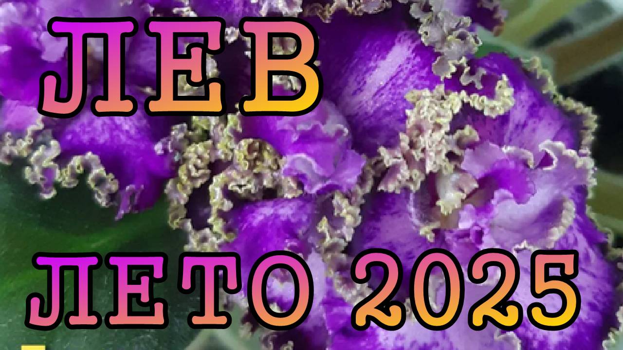 ЛЕВ таро прогноз на ЛЕТО 2025 года (июнь, июль, август).