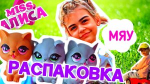 Серия распаковка котят, ЧЕЛЛЕНДЖ : АЛИСА ИЩЕТ КОТЯТ 😺 Подпишись и поставь лайк чтобы не пропустить