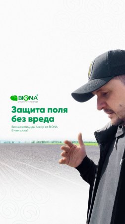 Поле атакуют вредители? Что делать?