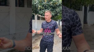 ЧТО ЗА ФРУКТ?