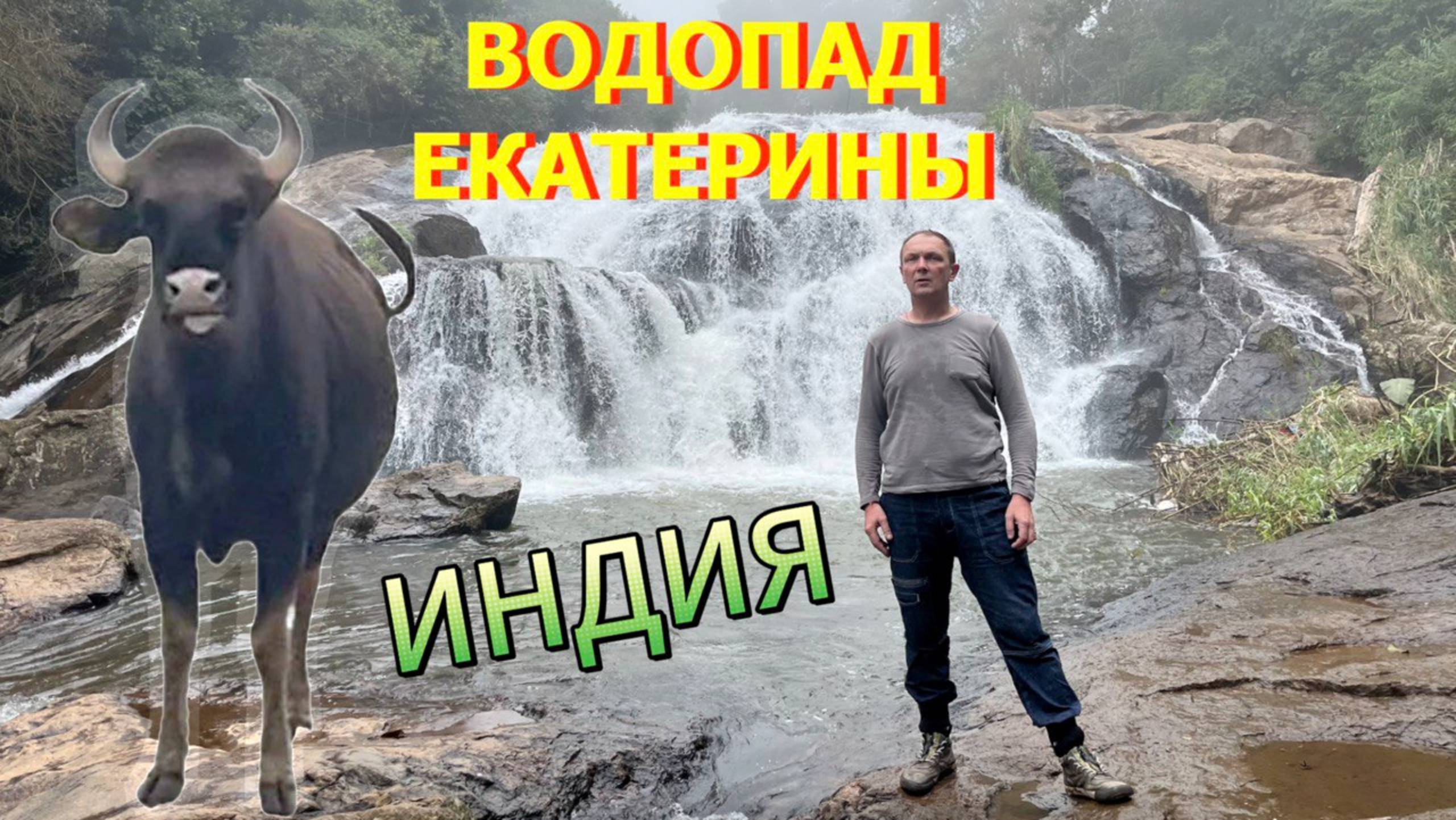 ВОДОПАД ЕКАТЕРИНЫ В ГОРАХ НИЛГИРИ I встреча с гаурами