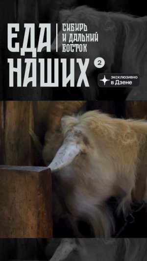 Знакомимся с Якутией в проекте «Еда наших»  Вторая серия сериала уже на канале! #foodru #еданаших
