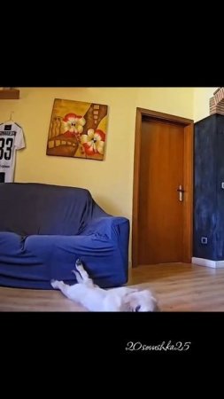 и опять на работу!
