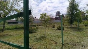 Вернулись в деревню.Принялись за ремонт дома.Готовимся к покупке бройлеров.Первый урожай огурцов