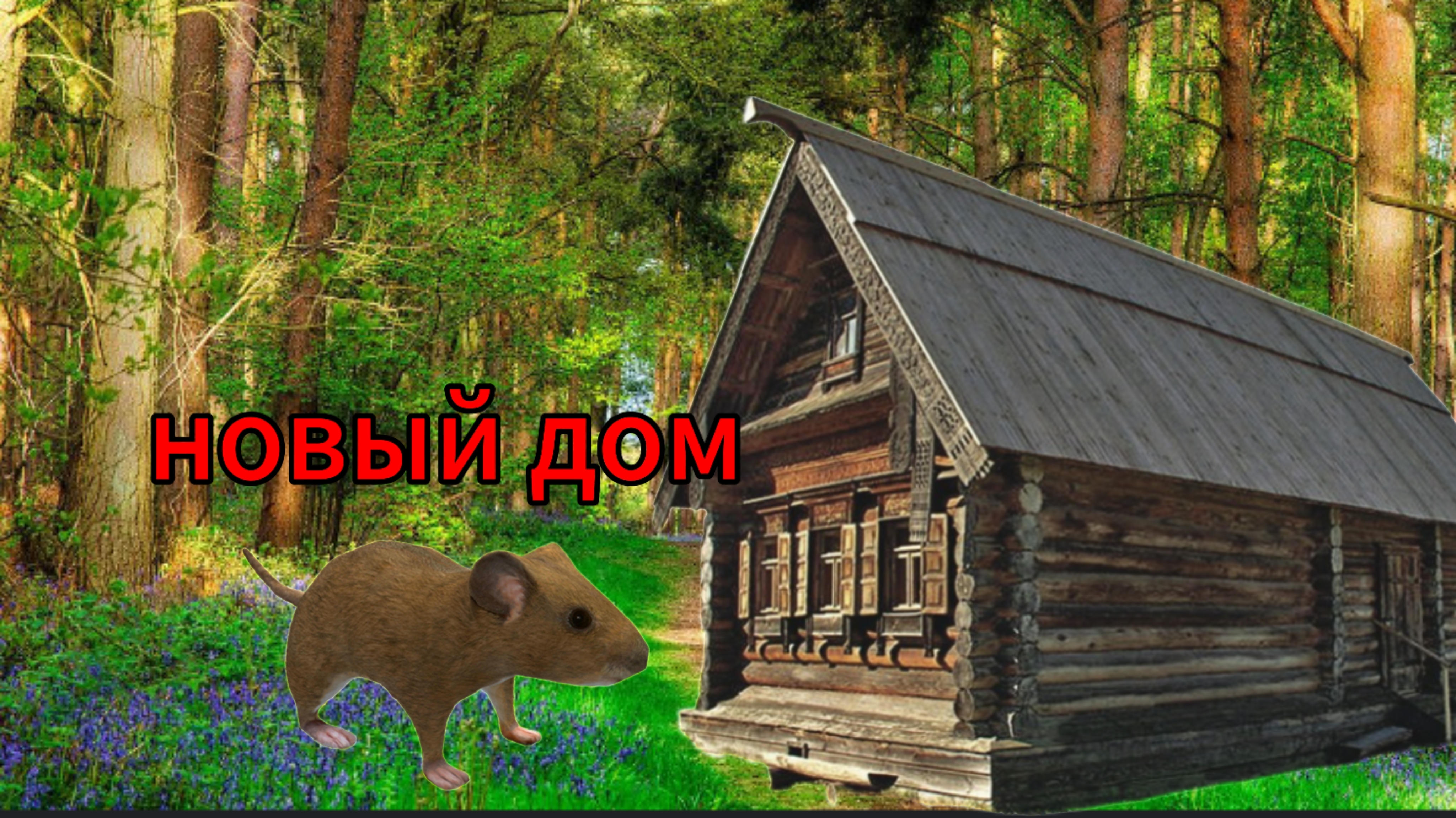 Я переехал в новый дом в Mouse simulator #5