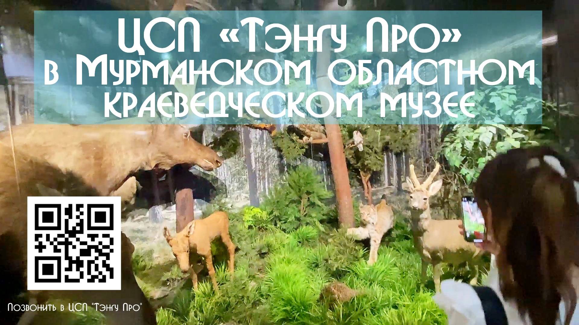 ЦСП Тэнгу Про в Мурманском областном краеведческом музее