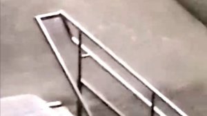 Заяц у комплекса Орбита во Владимире