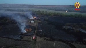 Где можно и нельзя жарить шашлыки: правила и штрафы