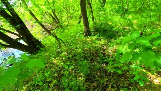 Поездка в лес с Катей и Яриком 1.05.2025