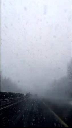 Снова пришли снегопады в Новгородскую область