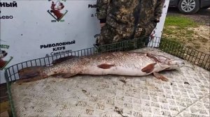 КМ Савельево третий сектор щучка
