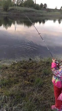 Ребенок ловит щук,tne baby catches a pike for spinning