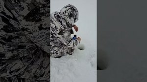 Рыбалка. Ишим. Астана