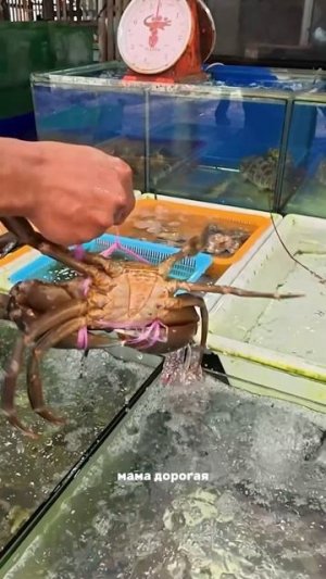 Обзор самого лучшего рыбного рынка