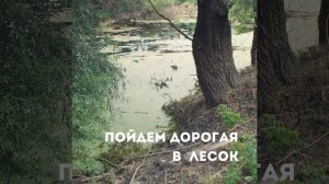 Пойдем дорогая в лесок (Speed up)
