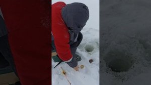 Вятка. Ищем сопу!