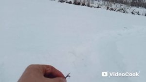 Рыбалка на одном из озёр Забайкалья . щука на мормышку