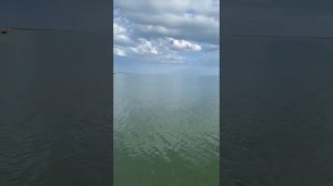 соленое озеро чаны классная природа и теплая вода