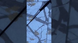 Палатка утепленная QIANG LI FISH 360*360*215 # 3503