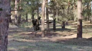 СВО День 1175: Тренировка штурмового отряда 80 омсбр