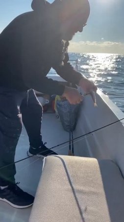 Морской дракон. Рыбалка в Сочи. #рыболовныйгид #fishing #fish