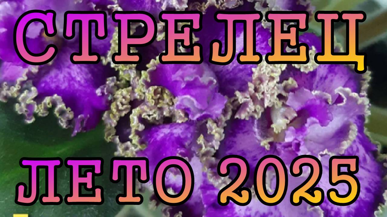 СТРЕЛЕЦ таро прогноз на ЛЕТО 2025 года (июнь, июль, август).
