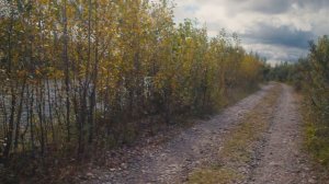 Река Томь