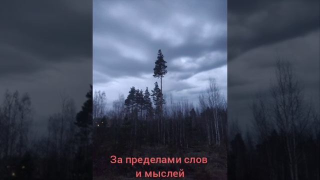 За пределами слов и мыслей Роберт Адамс