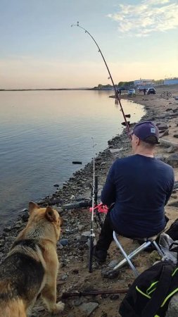 31.05.2024 Рыбалка на реке Амур Комсомольск-на-Амуре
