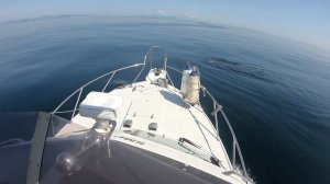 Морская рыбалка на Камчатке.