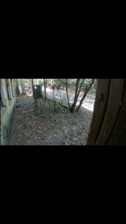 ЧСК «R T F» №1 shorts | Airsoft | Страйкбол #страйкбол #military #airsofti