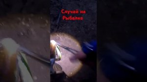 Поймал Судака 😁 А Судак Меня 🤣🤣🤣  Рыбалка на вобле?