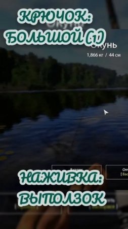 Трофей (оз. Комариное) Окунь  #рр4 #fishing