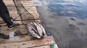 КМ Савельево обзорчик первого сектора