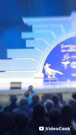 Полина Дивнич - выступление Факел