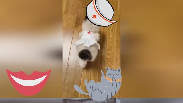УЛЫБКА😉 ОТ ЭТОГО ВИДЕО  ОБЯЗАТЕЛЬНО ПОЯВИТСЯ НА ВАШЕМ ЛИЦЕ😁