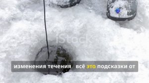 КАК НАЙТИ РЫБУ: Топовые методы и приемы.#рыбалка #ловля