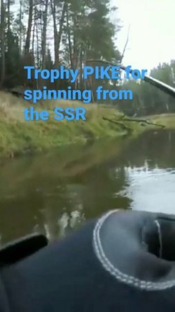 Trophy PIKE for spinning from the SSR Снасти здрасьте subscribe
