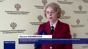 КРЫСЫ ВНОВЬ НА МУСОРНЫХ ПЛОЩАДКАХ ОРЕНБУРГА
