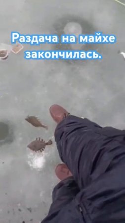 13 марта 2025 г.
