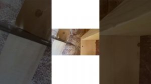 Переделываем сарай в собачий вольер_ домашняя движуха